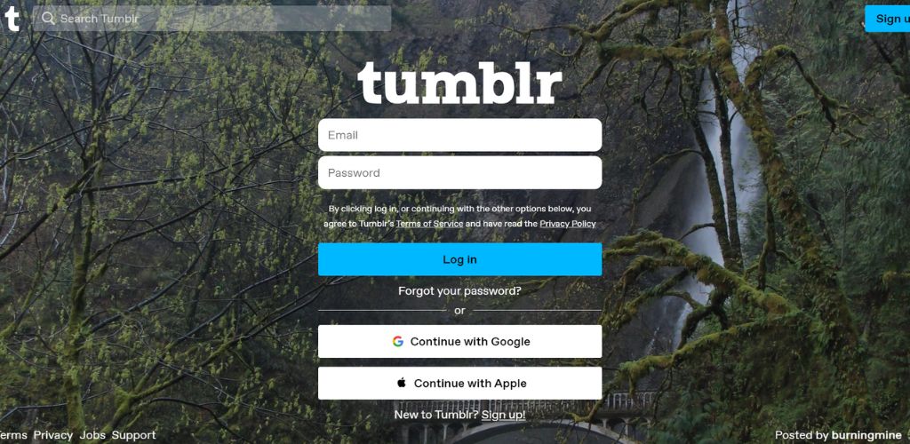 11 Best Free Blogging Platforms: Start Your Blog For Free